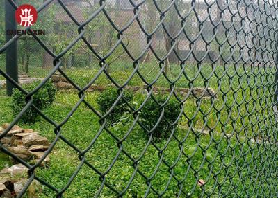 Cina Il PVC di Mesh Fence del collegamento a catena del bene durevole 75x75mm ha ricoperto Diamond Mesh in vendita