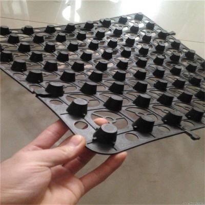 China Eco-Friendly HDPE Plastic Green Roof Trays in 10m/20m/30m Length and 1M-3M Width for Performance for sale