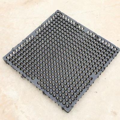 China 10mm Thickness HDPE Dimple Drainage Board for 3m Width Civil Engineering Projects for sale