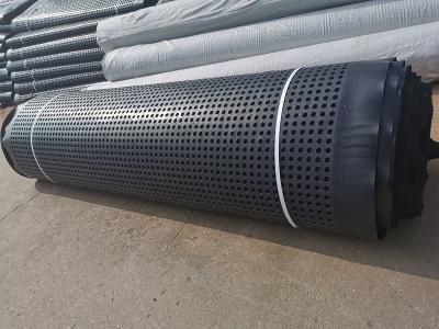 China 10mm Thickness HDPE Dimple Drainage Board for 3m Width Civil Engineering Projects for sale