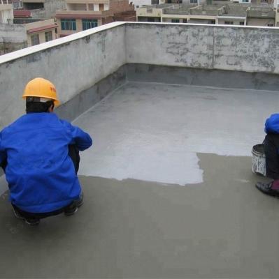 China Two Component Elastomeric Waterproofing Spray Paint for Other Materials Long-Lasting Protection for sale