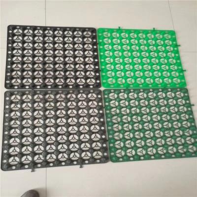 Китай HDPE обе стороны скважины дренажной доски для традиционной крыши сада традиционного дизайна традиционного традиционного традиционного стиля продается
