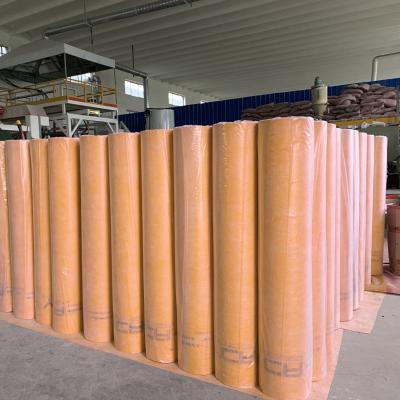 China Pe Pp Polymer Waterproof Film for Hotel Bathroom Floor Waterproofing Damp Proof Membrane Weight per Square Meters 200g to 1200g for sale