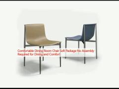 Comfortable Contemporary Dining Room Chairs S-Spring Plywood Seating