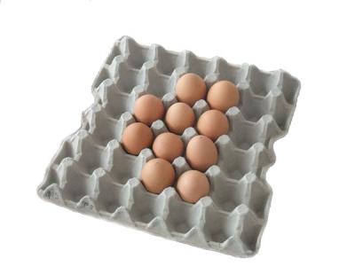 China Reciprocating Type Pulp Molding Machine Waste Paper Egg Tray Making Machine for sale
