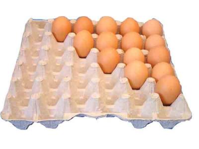 China Reciprocating Type Pulp Molding Machine Egg Tray Vacuum Forming Machine for sale