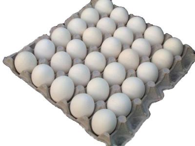 China Reciprocating Type Pulp Molding Machine Egg Tray Processing Machine for sale