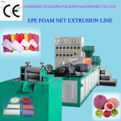 China EPE Foam Fruit Net Extruder Packing fruit foam net for mango/papaya extrusion machine for sale