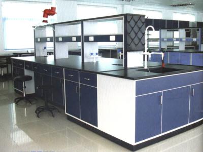 China lab cabinet and brand lab cabinet searching hk Succezz lab cabinbet for sale