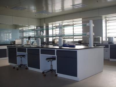 China All steel Laboratory Furniture equipment Wall cabinet With All Steel Reagent Rack for sale