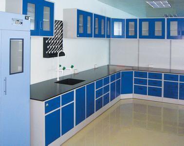 China custom design lab bench furniture with lab bench furniture and lab workbench factory for sale