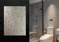 China Interlocking SPC Wall Panel Waterproof Anti Bacterial Stone Plastic Composite Wet Room Cladding for sale