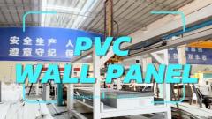 PVC Wall Panel Interior Wall Cladding for Home Decor