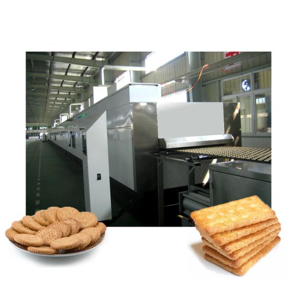 Quality Full Automatic Biscuit Production Line Customized Biscuit Making Line High Productivity for sale