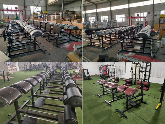 Hot Selling Gym Equipment Foldable GHD Bench Glute Ham Developer