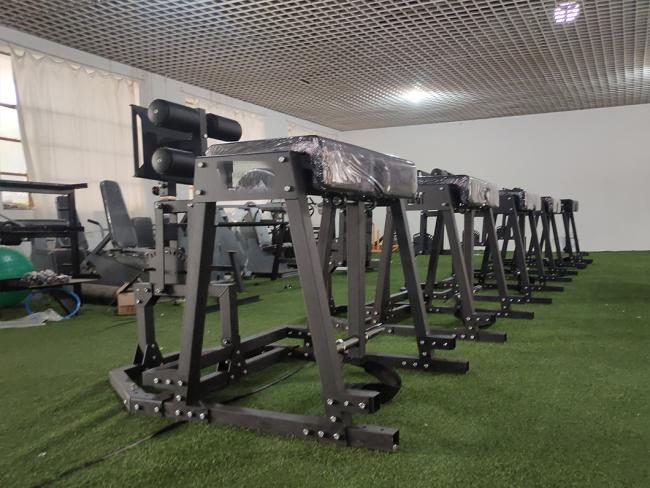 Hot Selling Gym Equipment Foldable GHD Bench Glute Ham Developer