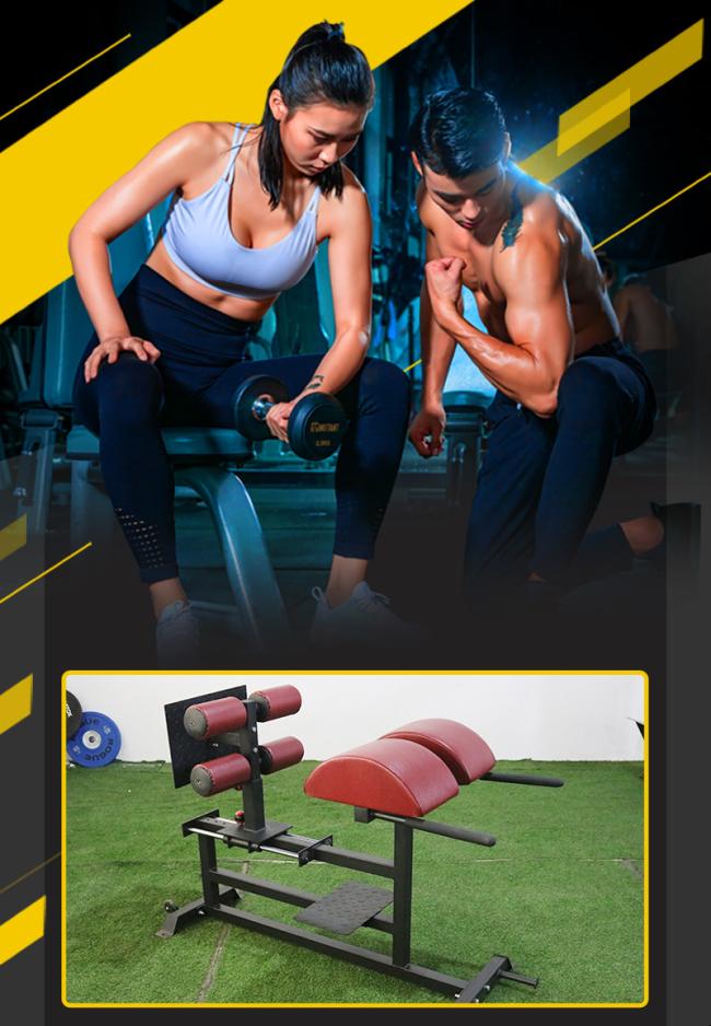 High-Quality Fitness Equipment Roman Chair Reverse Hyper Extension Lower Back Exercise Benches