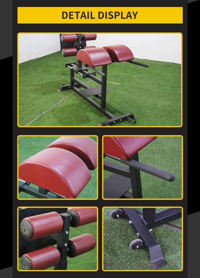 High-Quality Fitness Equipment Roman Chair Reverse Hyper Extension Lower Back Exercise Benches