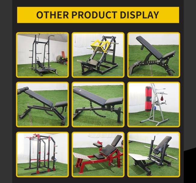 High-Quality Fitness Equipment Roman Chair Reverse Hyper Extension Lower Back Exercise Benches