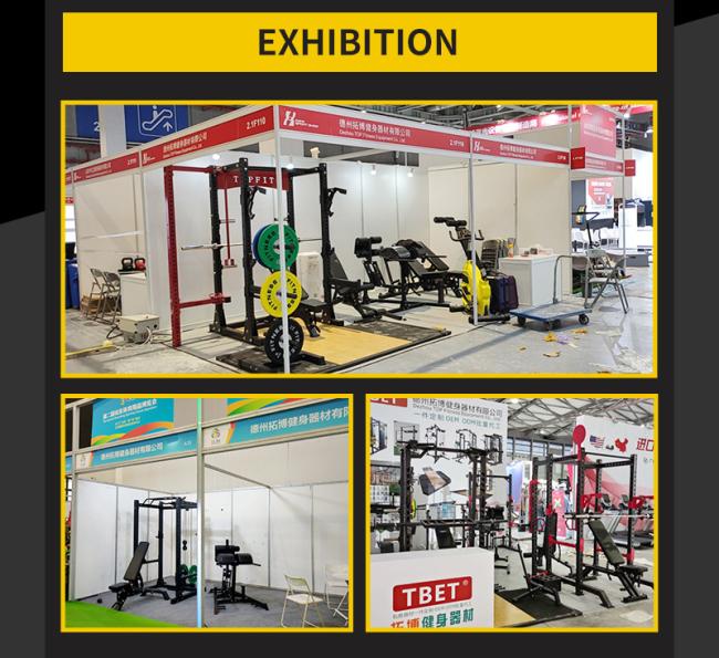 Wholesale Extension Bench Hyper Bench Roman Bench Sports Machine Fitness Equipment