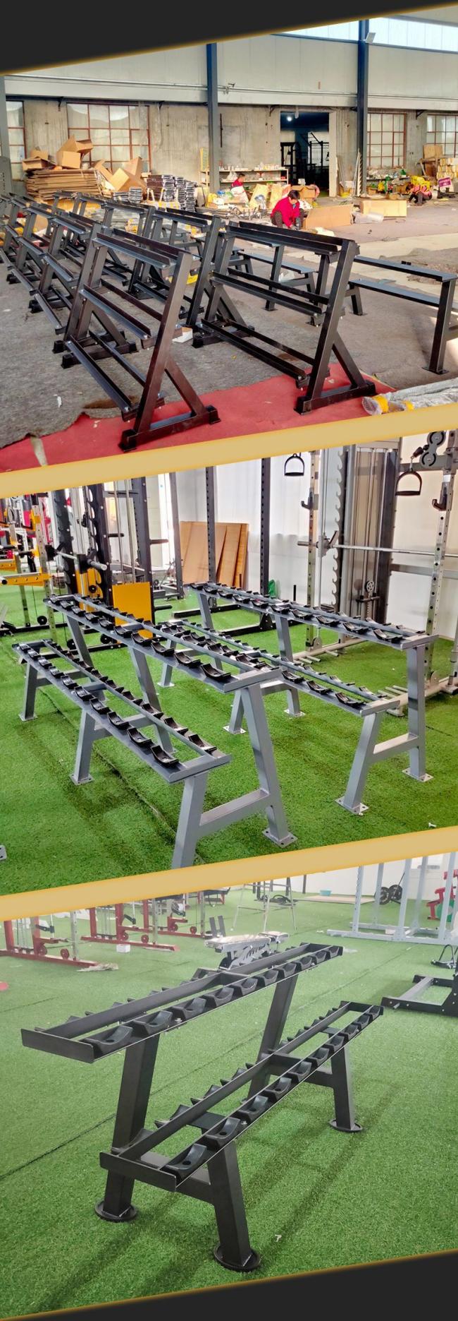 Luxurious Commercial Gym Dumbbell Rack for Sale