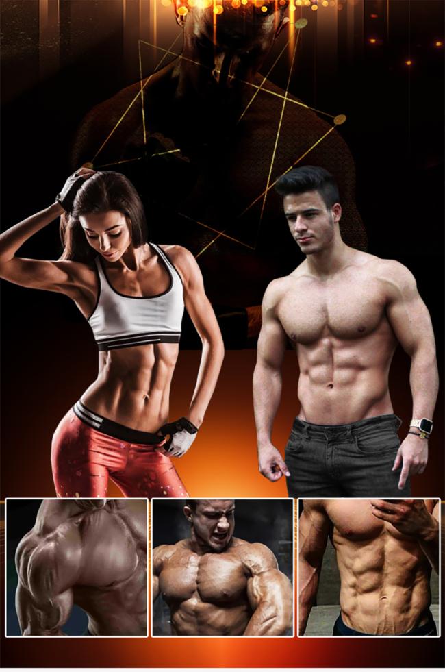 Popular Sport Equipment Training Gym Fitness Exercise Machine Dumbbell Rack Body Building