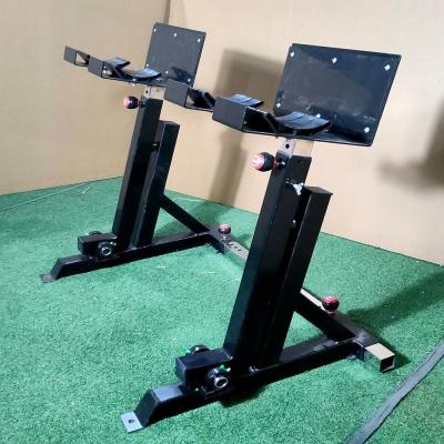 China Foldável Ajustável Dumbbell Sentar-se Peso Banco Press Rack para Treinamento de Corpo Inteiro à venda