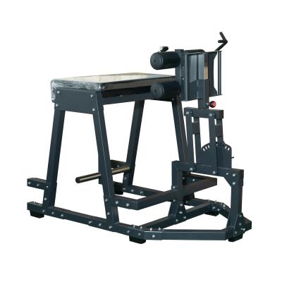China Commercial Gym Back Hiperextensão GHD Glute Ham Desenvolvedor Cadeira romana para parte inferior das costas à venda