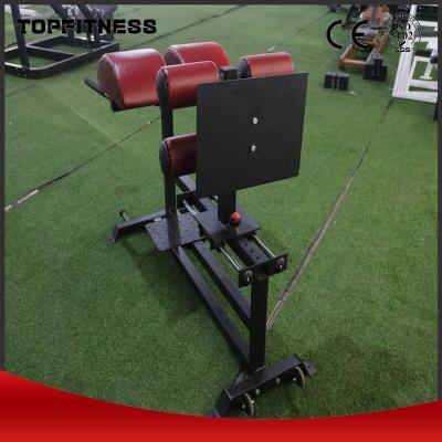 China Steel Preacher Curl Bench Cadeira Romana para Design de Corpo Forte Equipamento de fitness em casa à venda