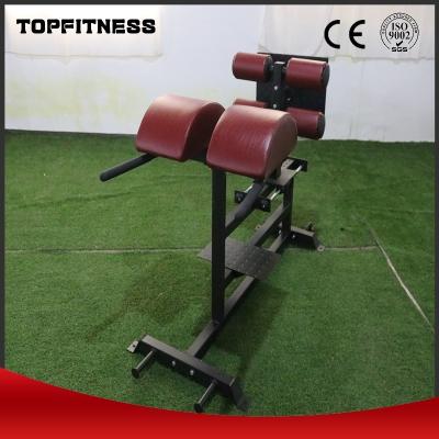 Cina Unisex Back Extension e Hyperextension Direct Roman Chair con fonte di alimentazione manuale in vendita