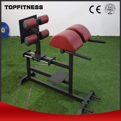 Cina Ricerca personalizzata Panca romana in acciaio per il bodybuilding fatta su misura in vendita