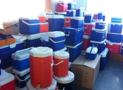 China OEM Outdoor Plastic Cooler Box Milk bucket Igloo water cooler OEM Branding Water bucket for sale