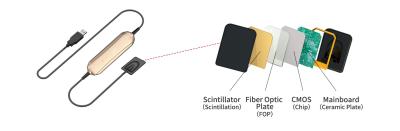 China Dental Digital Instraoral Xray Sensor X Ray Sensor for sale