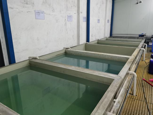 Inspection process for server racks