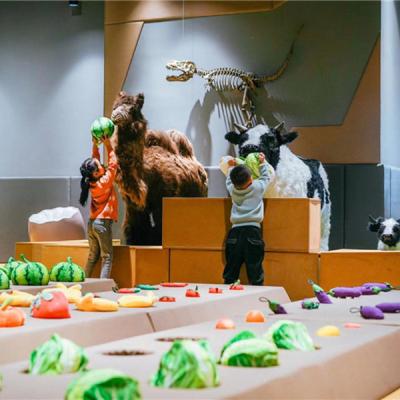 중국 슬라이드와 볼 풀이 있는 어린이 실내 놀이터 (숲 테마) 판매용