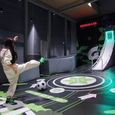 中国 スライドとボールピットを持つ子供のための森林テーマの室内遊び場 販売のため