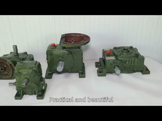 Wpa/Wps 40 50 60 70 80 100 120 135 147 155 175 200 250 Cast Iron Speed Reducer Worm Gearbox Reducer