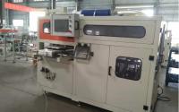 China High Production Automatic Soft Drawing Facial Tissue Bundle Packing Machine Equipment for sale
