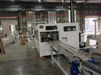 China Fully Automatic Toilet Tissue Paper 10 Rolls Bundle Packing Machine for sale