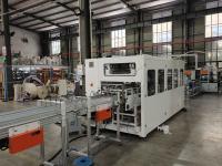 China Fully Automatic Toilet Tissue Paper 10 Rolls Bundle Packing Machine for sale