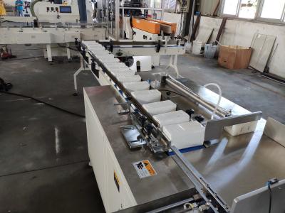 Cina PE dell'impacchettatrice del pacco di altezza di Xinyun 100mm in vendita