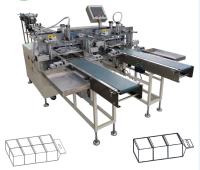 China Auto Tissue Paper Packaging Machine, 2 Heads Bundle Strapping for sale