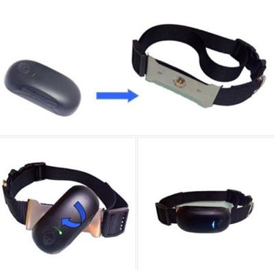 China 2017 Small Dog Pet Tracker Gps Suitable For Cattle Tracking,Worlds Smallest Mini Pet Cow Gps Tracker For Cat for sale