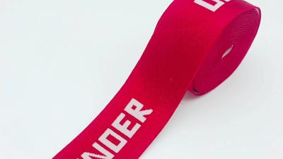 China Manufacturer Custom Logo Elastic Webbing Strap Knitted Jacquard Webbing Pattern Nylon Polyester Spandex Rubber Elastic Band for sale