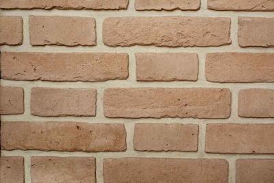 Cina Gamma di superficie speciale di dimensione 200x55x12mm Clay Brick For Wall Decoration di colori interno ed esterno in vendita