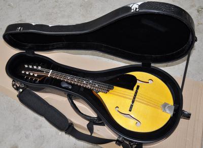 China Factory custom Handmade custom advanced 8 strings mandolin electric guitar with ebony fretboard for sale