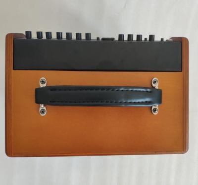 中国 8インチダブルツインチャネル AER スタイルのアコースティックギターアンプ 60W 販売のため