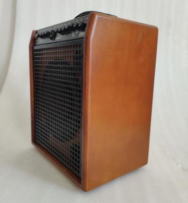 中国 8インチダブルツインチャネル AER スタイルのアコースティックギターアンプ 60W 販売のため