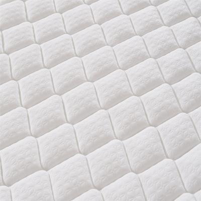 China 8inch Cheap Pocket Spring Mattress Rolled In A Box Hot Sale Online for sale