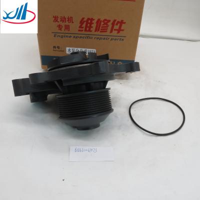 Cina Sottosistema della pompa dell'acqua più venduto 1073 612630061073 in vendita